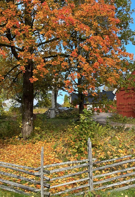 TID FÖR DIG I DANNIKE, Dannike - Bokadirekt